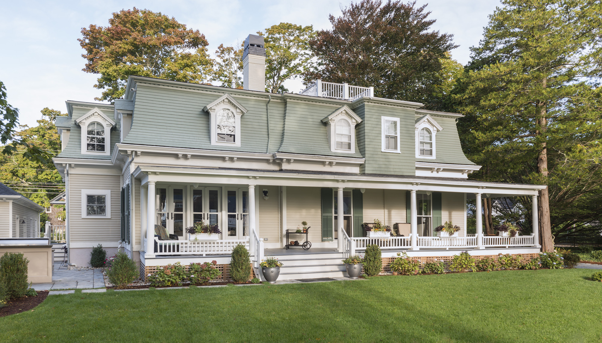 Timeless Beauty - Davitt Corporation