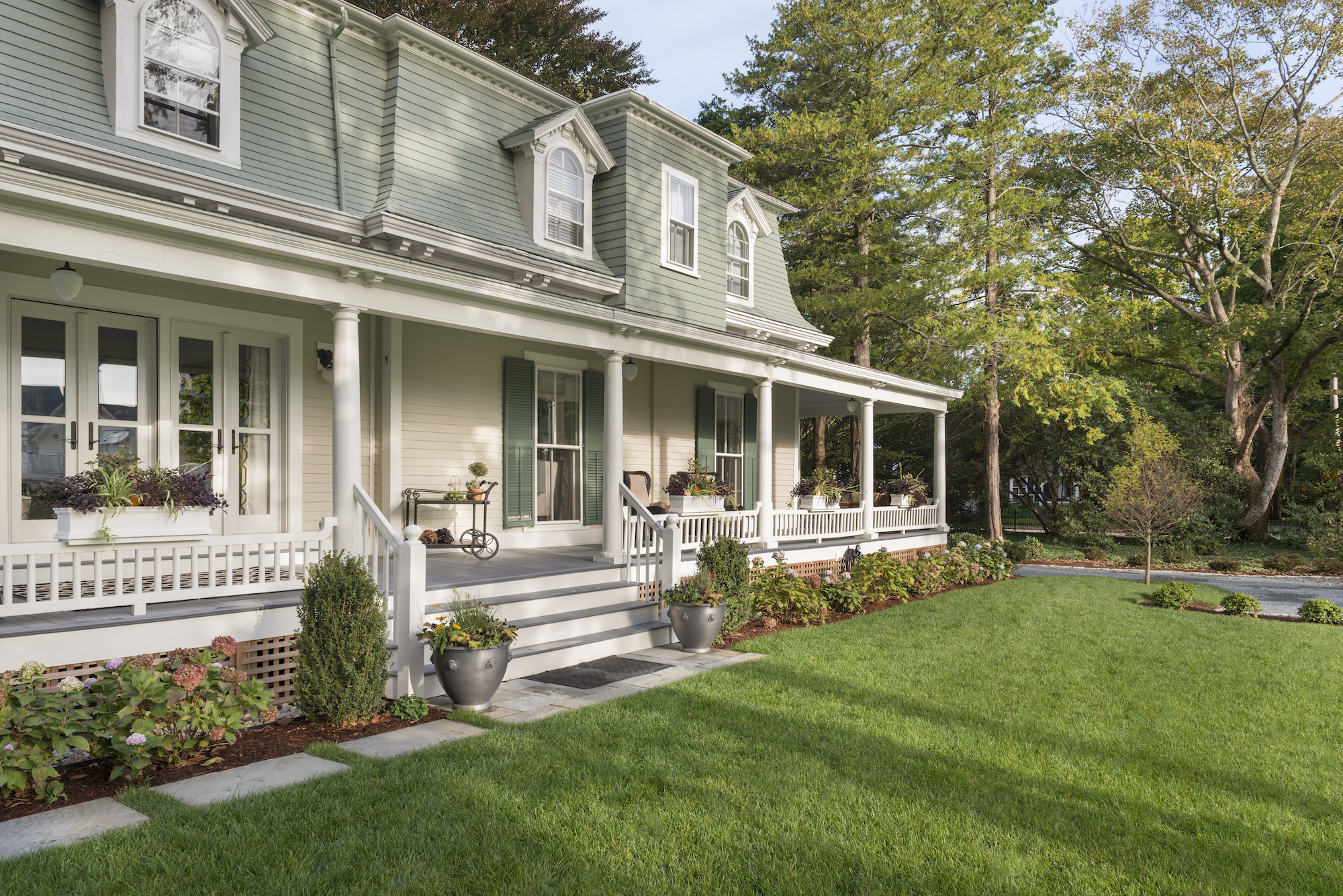 Timeless Beauty - Davitt Corporation